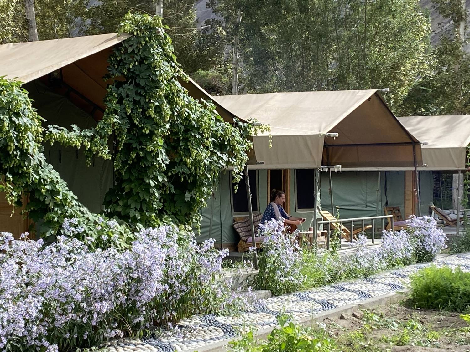 Gallery | Pebbles Resorts